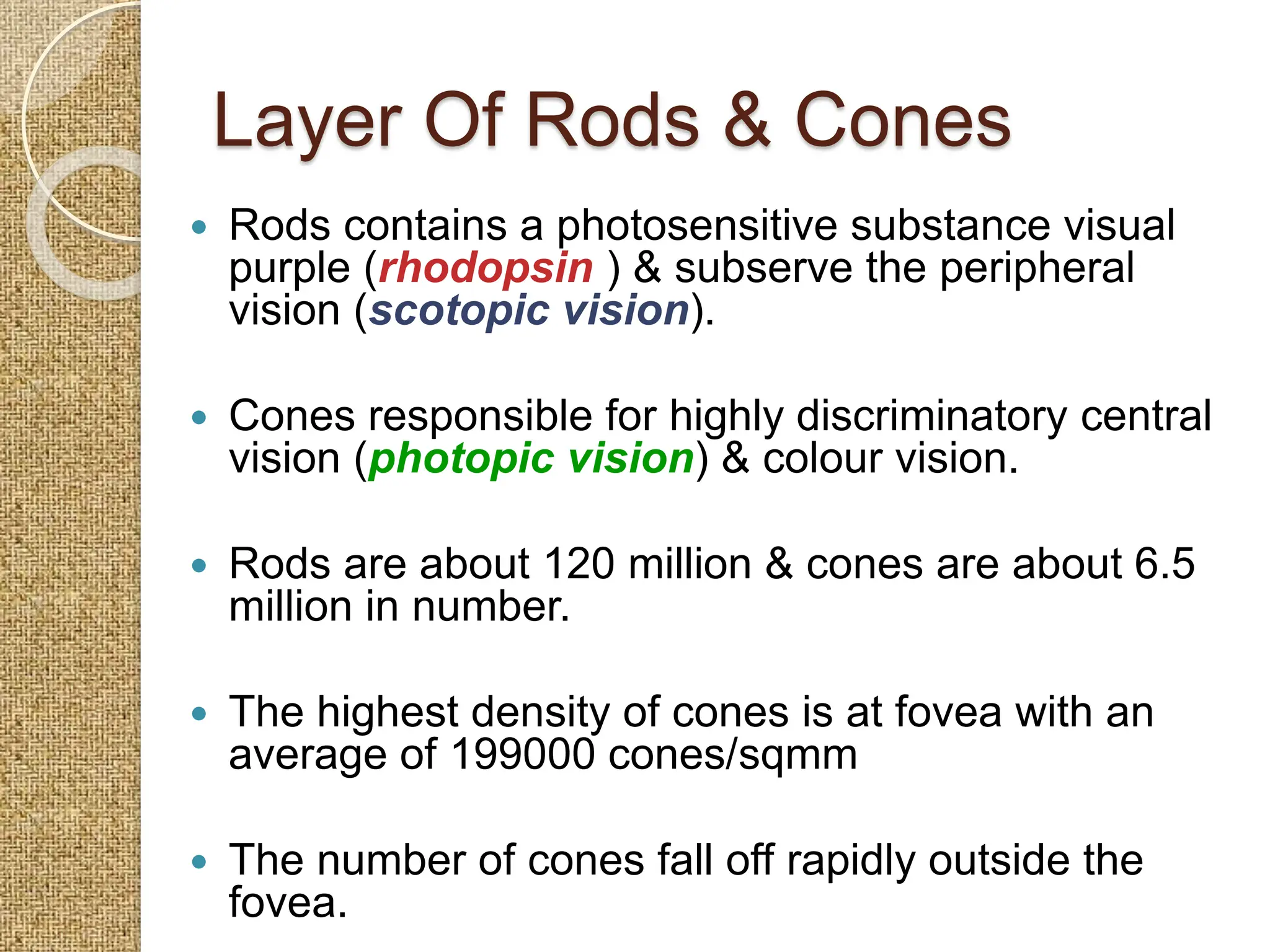 anatomyofretina2-200507105652and dev.pdf