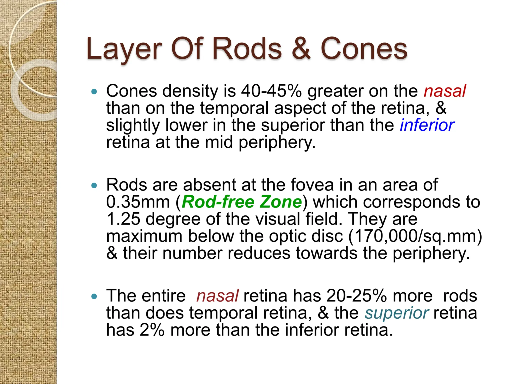 anatomyofretina2-200507105652and dev.pdf