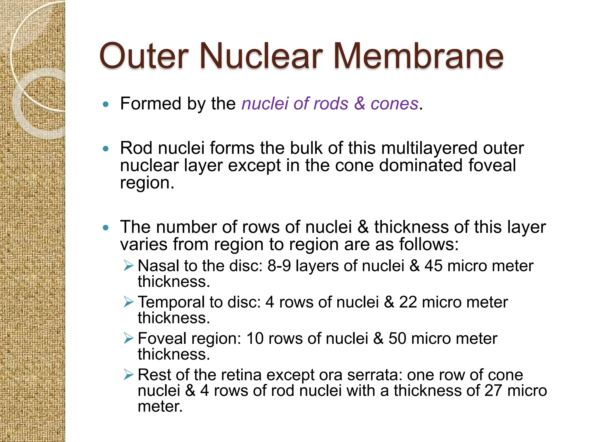 anatomyofretina2-200507105652and dev.pdf