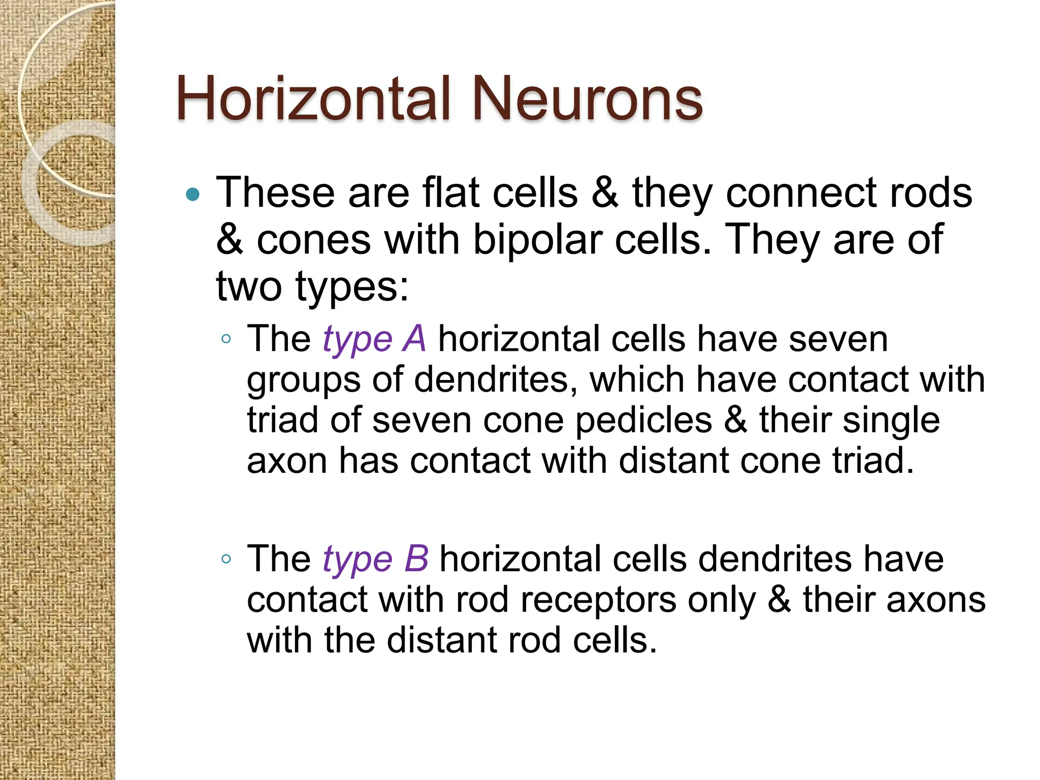 anatomyofretina2-200507105652and dev.pdf