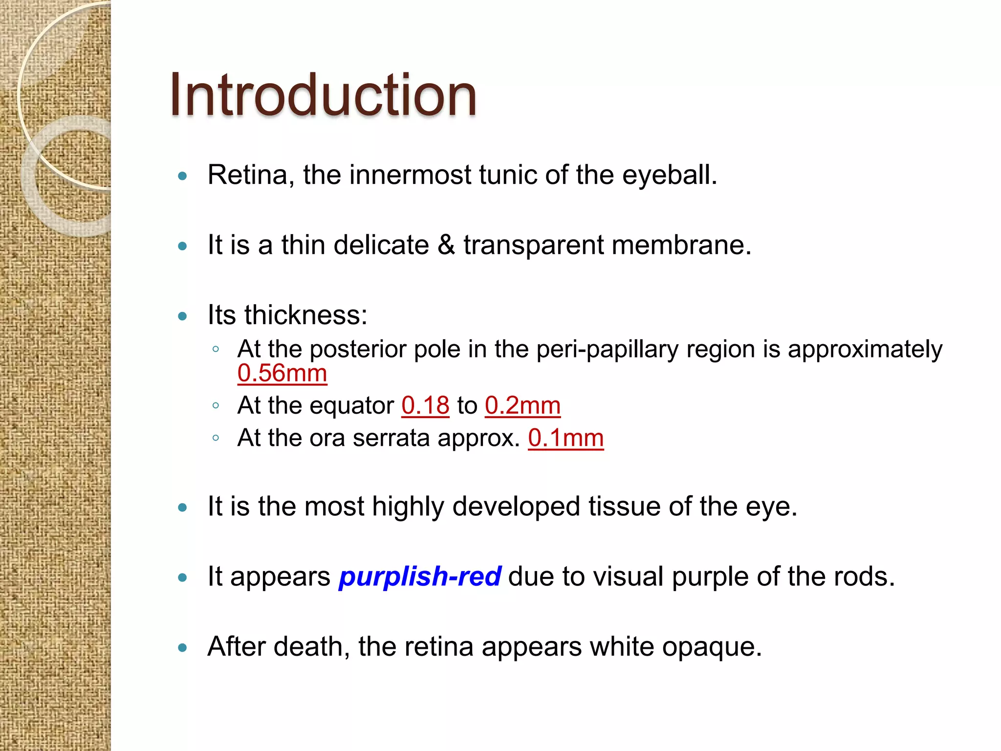 Anatomy of retina | PPTX