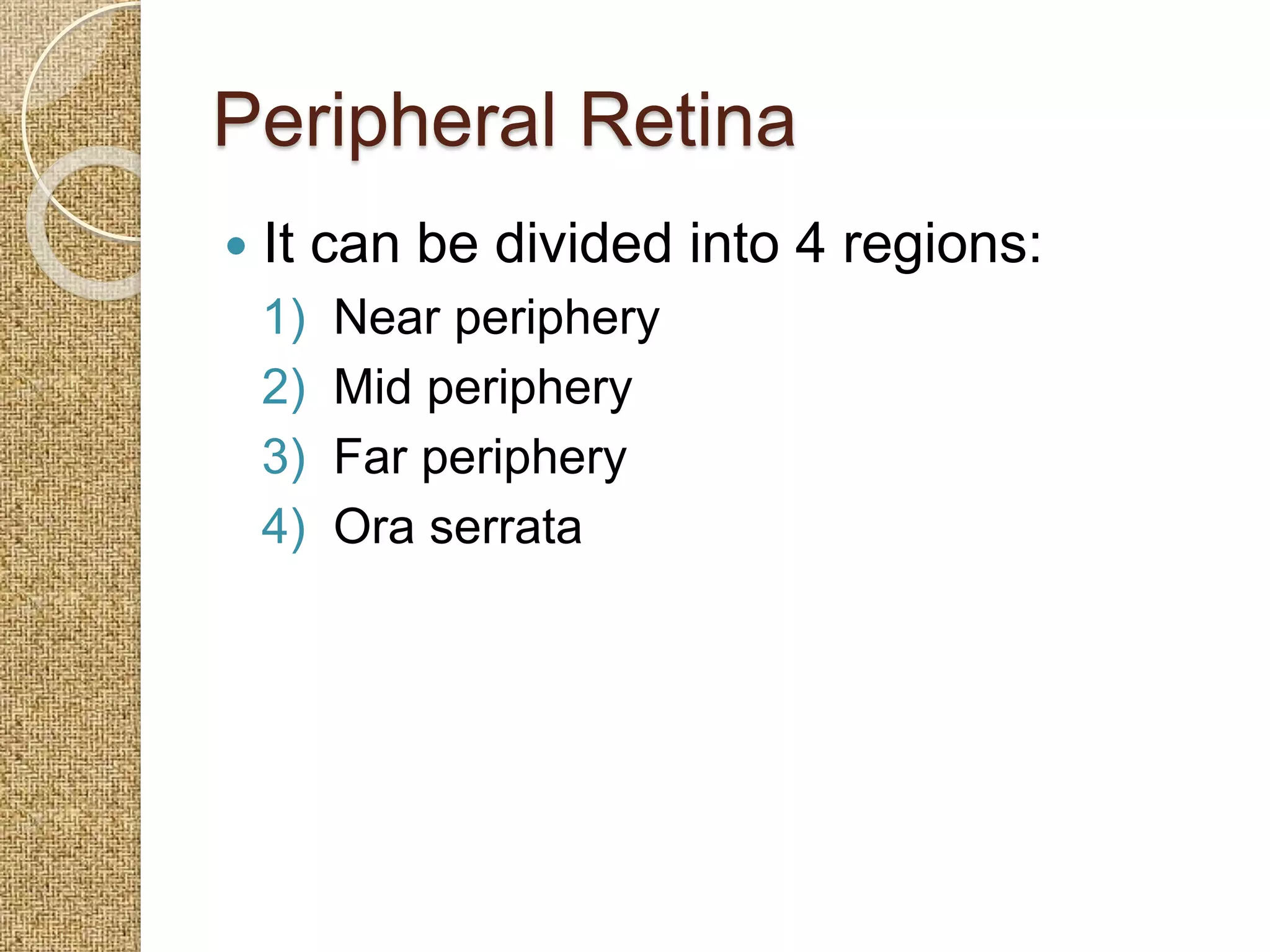 Anatomy of retina | PPTX