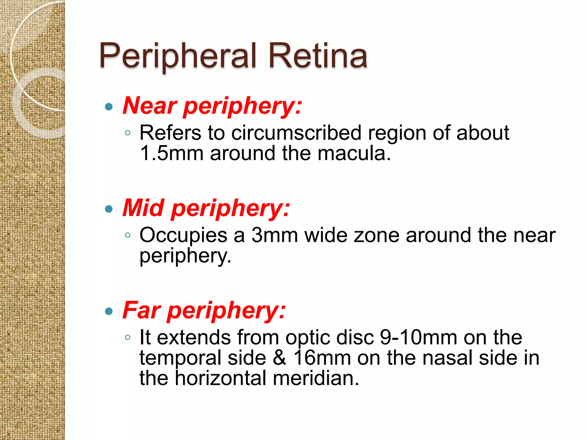 Anatomy of retina | PPTX