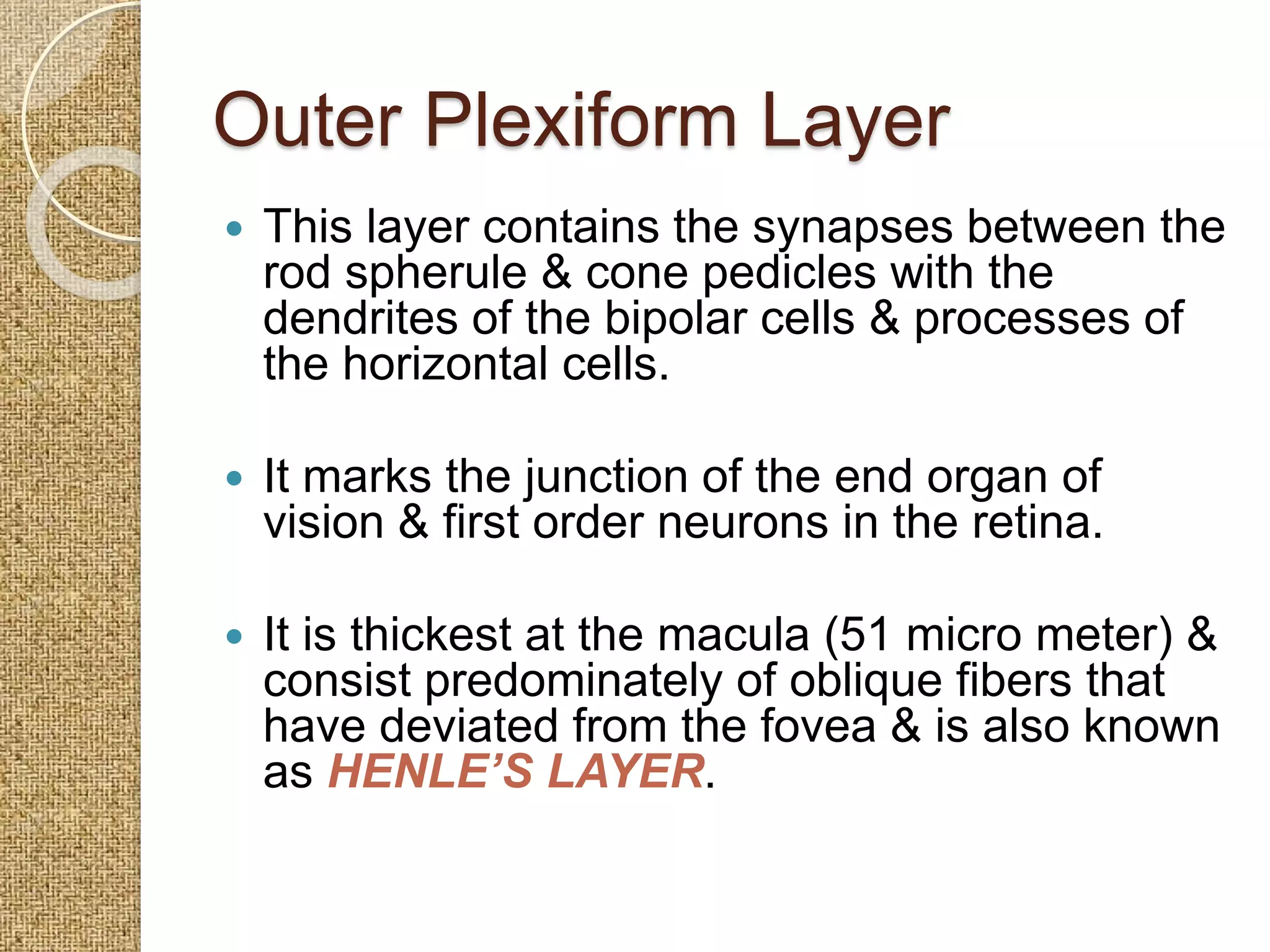 Anatomy of retina | PPTX