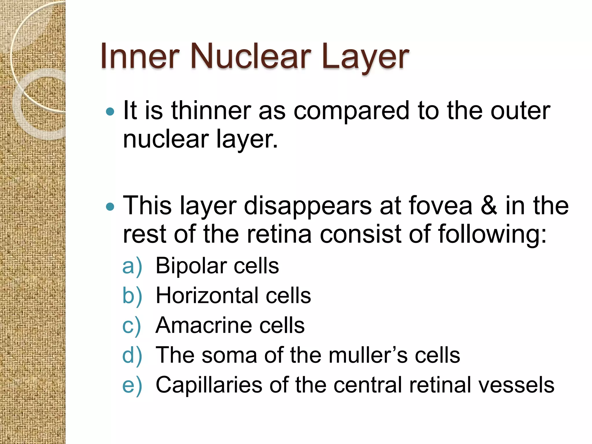 Anatomy of retina | PPTX