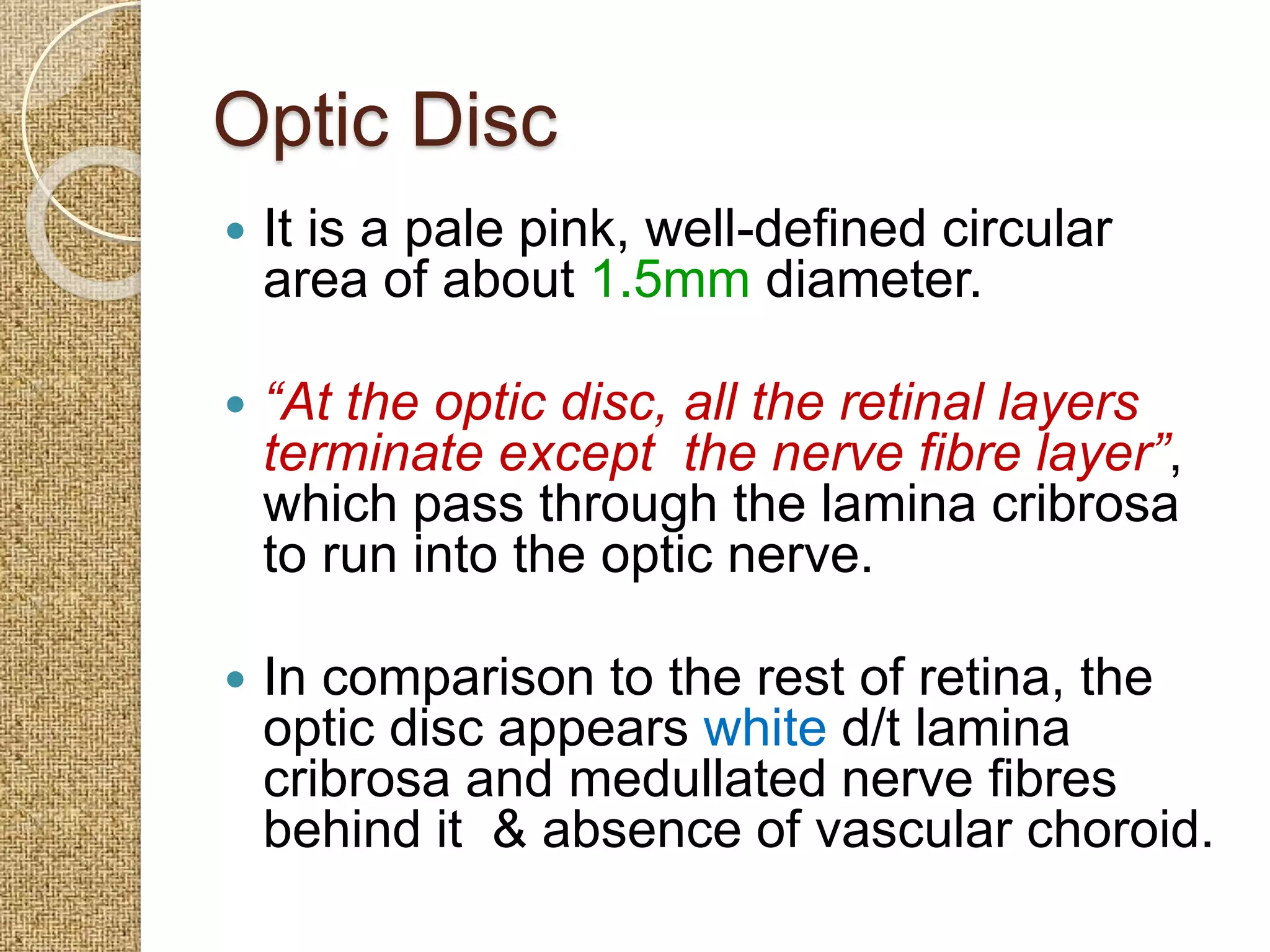 Anatomy of retina | PPTX