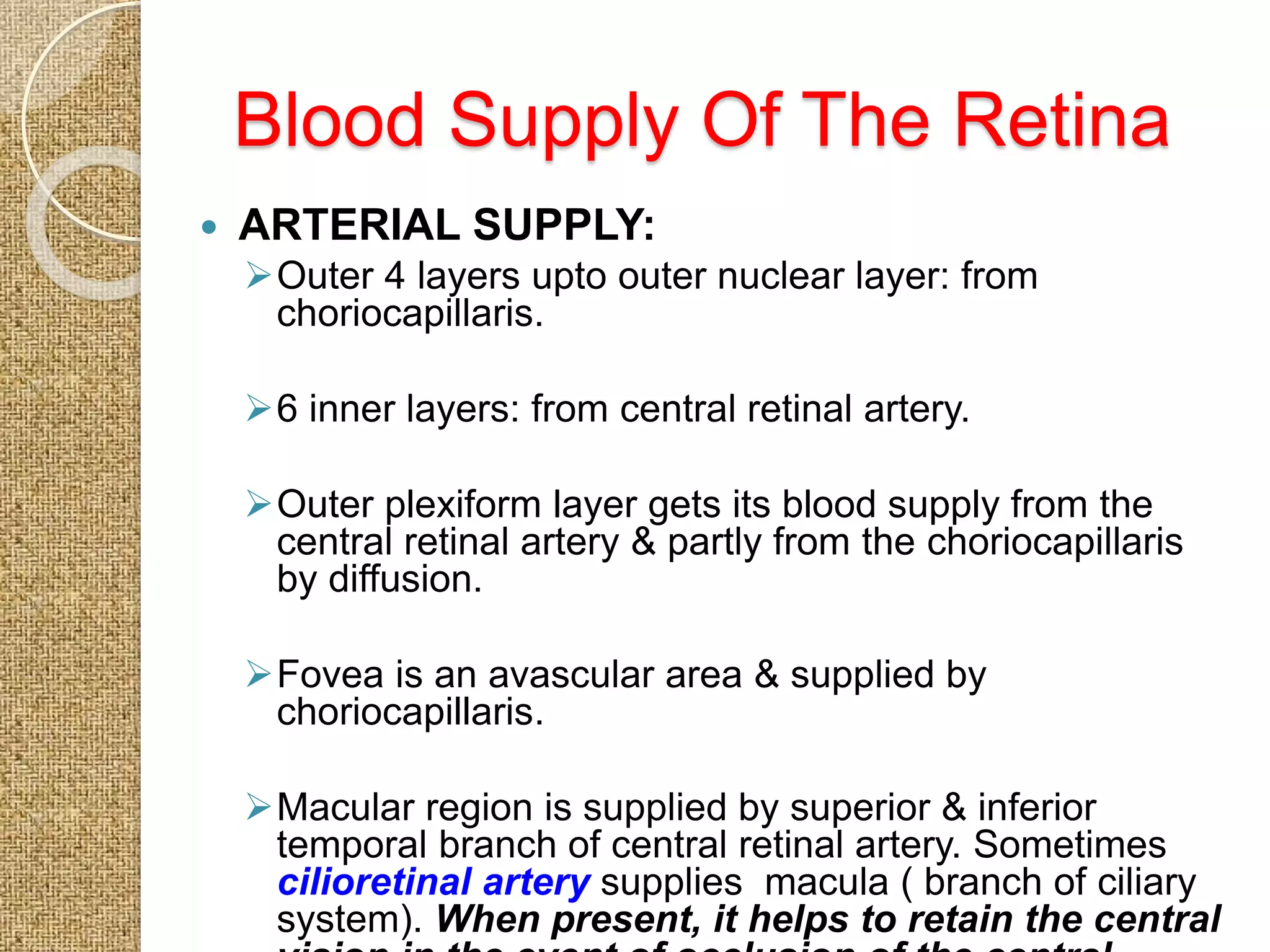 Anatomy of retina | PPTX