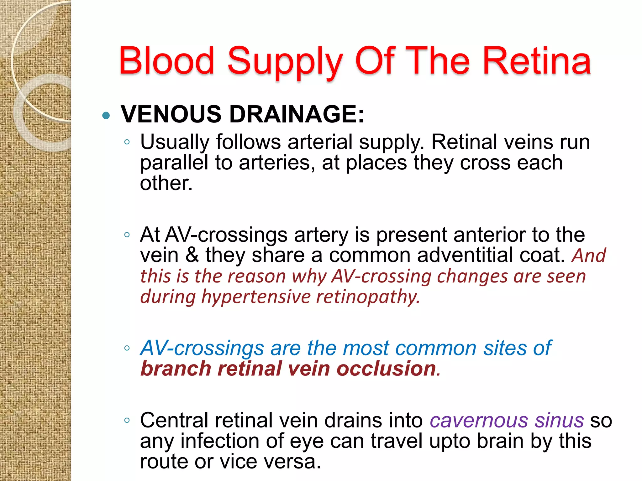 Anatomy of retina | PPTX