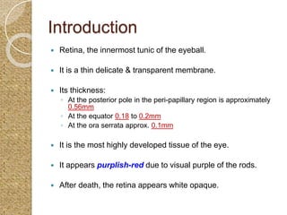 Anatomy of retina | PPTX