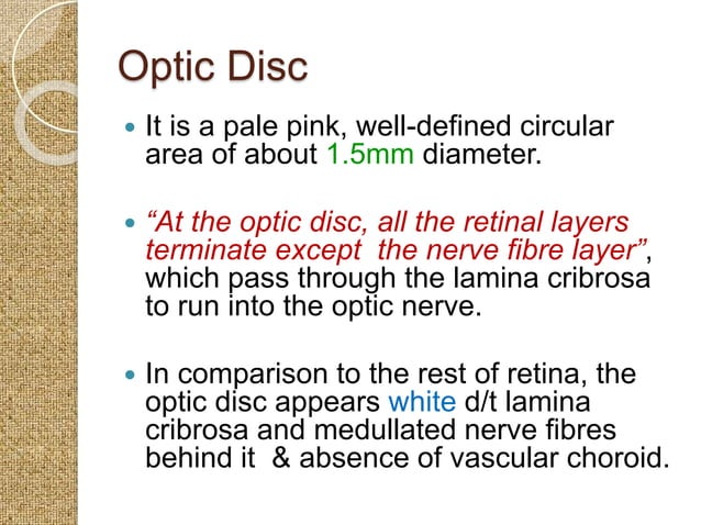 Anatomy of retina | PPTX | Eye and Vision Conditions | Diseases and ...