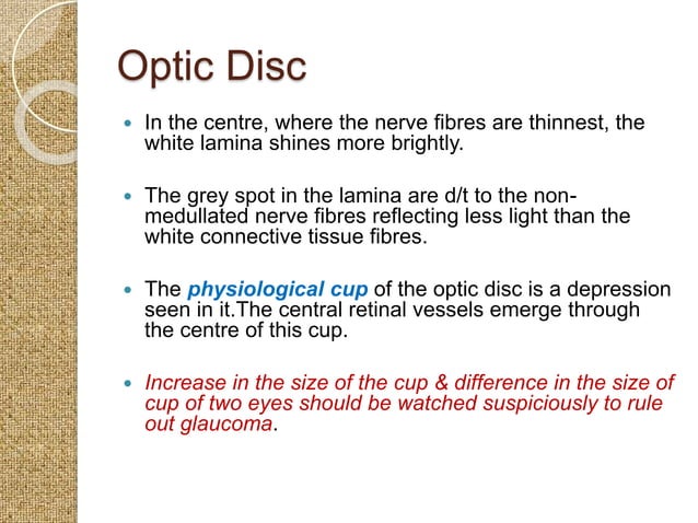 Anatomy of retina | PPTX | Eye and Vision Conditions | Diseases and ...