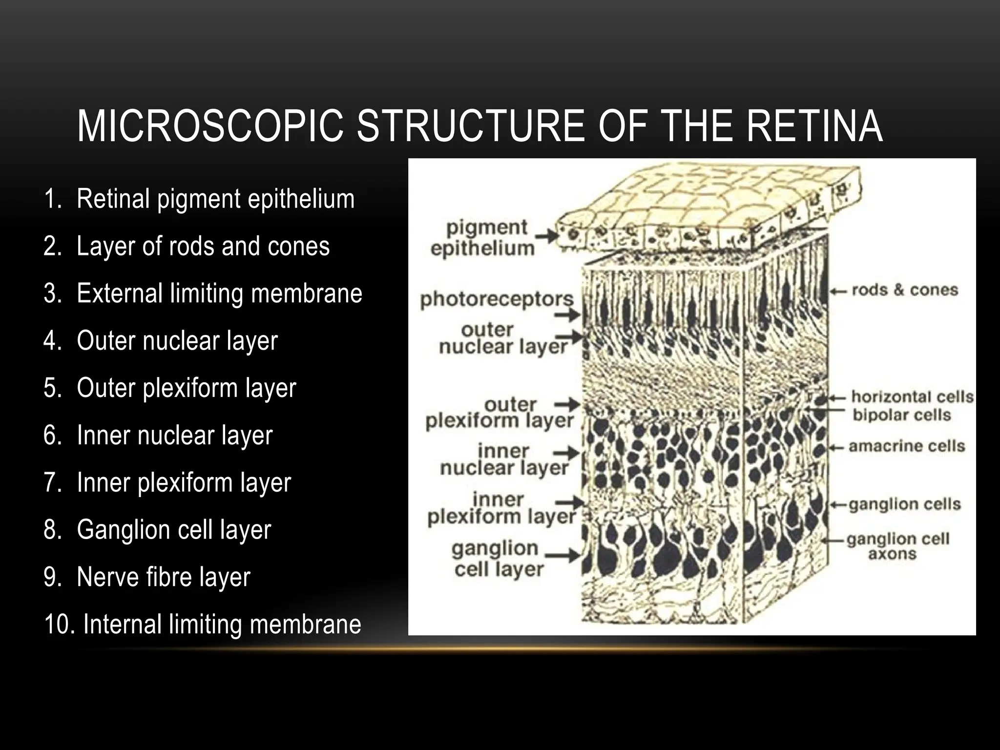 Anatomy of Retina and Visual pathway.pptx