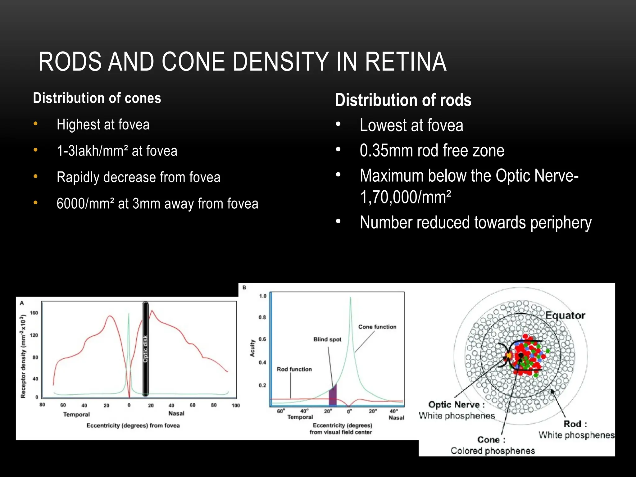 Anatomy of Retina and Visual pathway.pptx