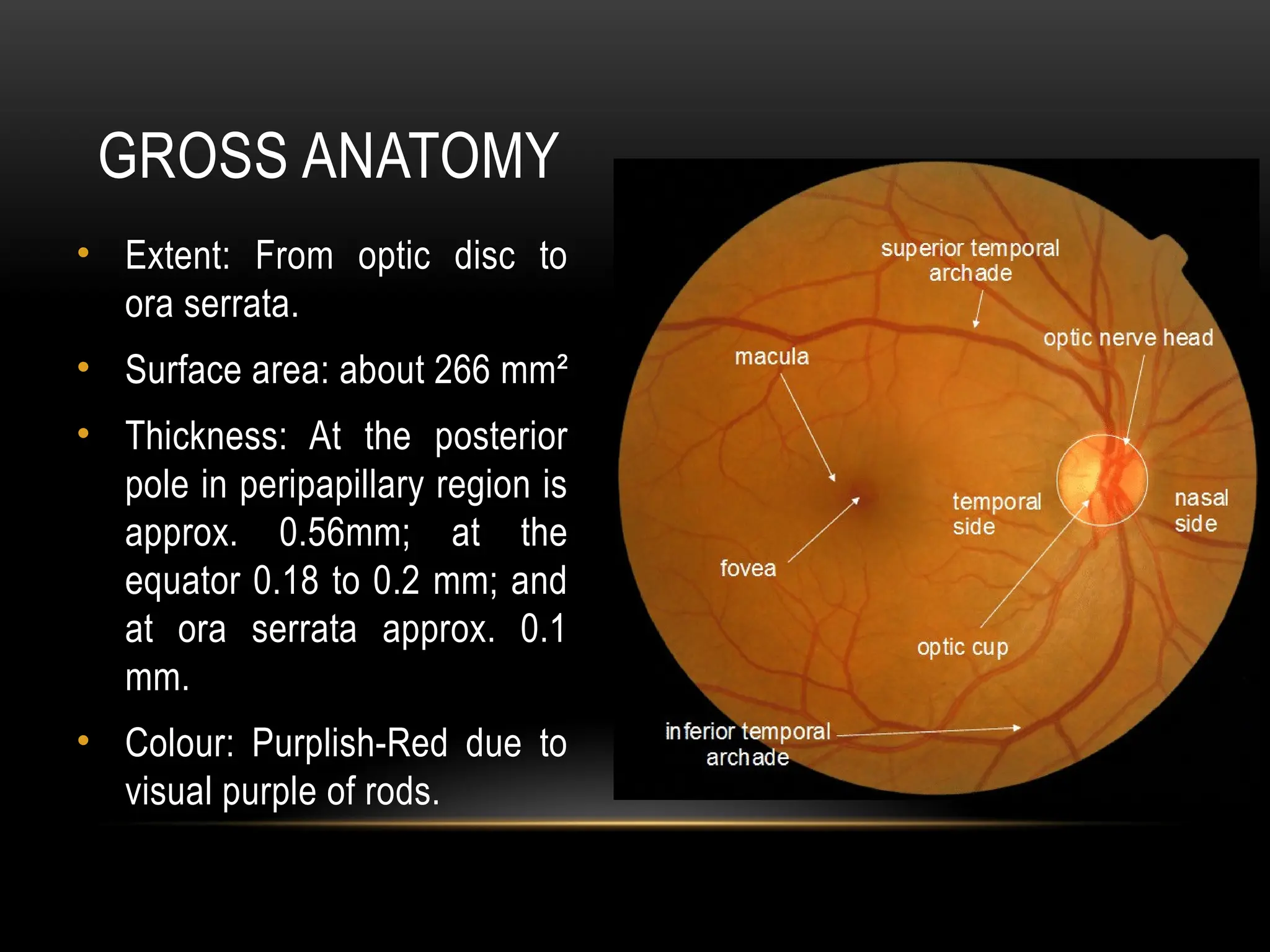 Anatomy of Retina and Visual pathway.pptx