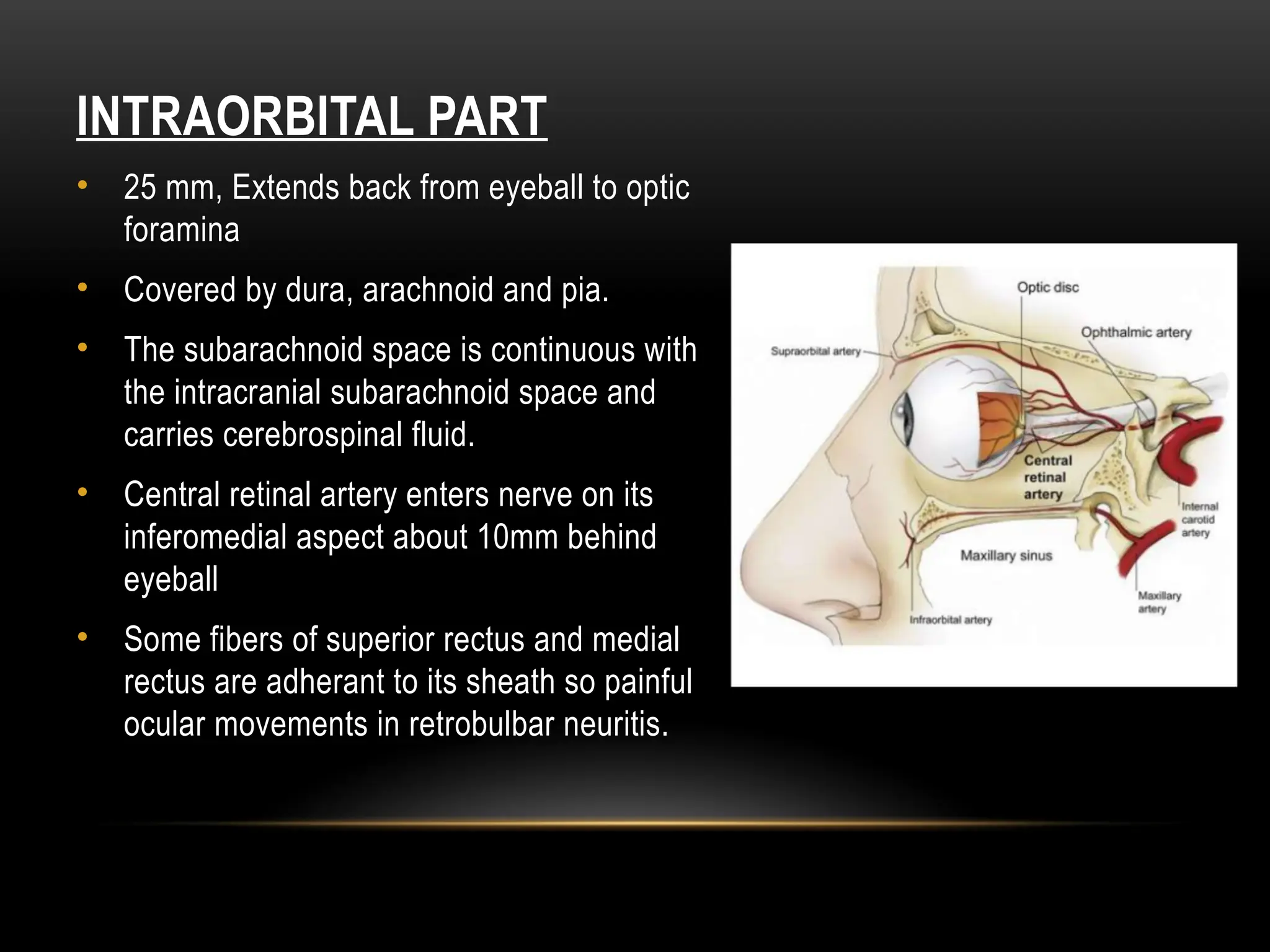 Anatomy of Retina and Visual pathway.pptx