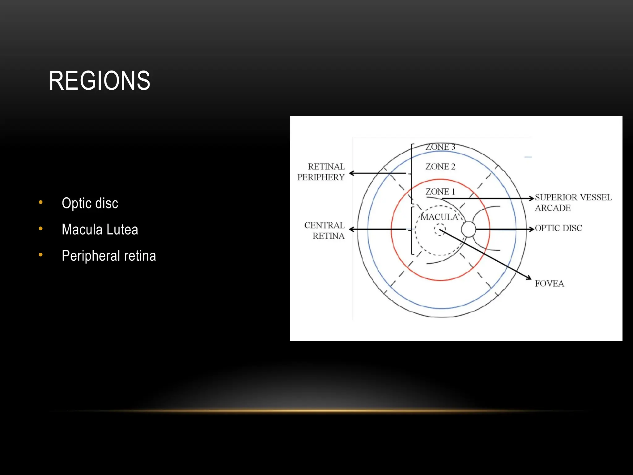 Anatomy of Retina and Visual pathway.pptx