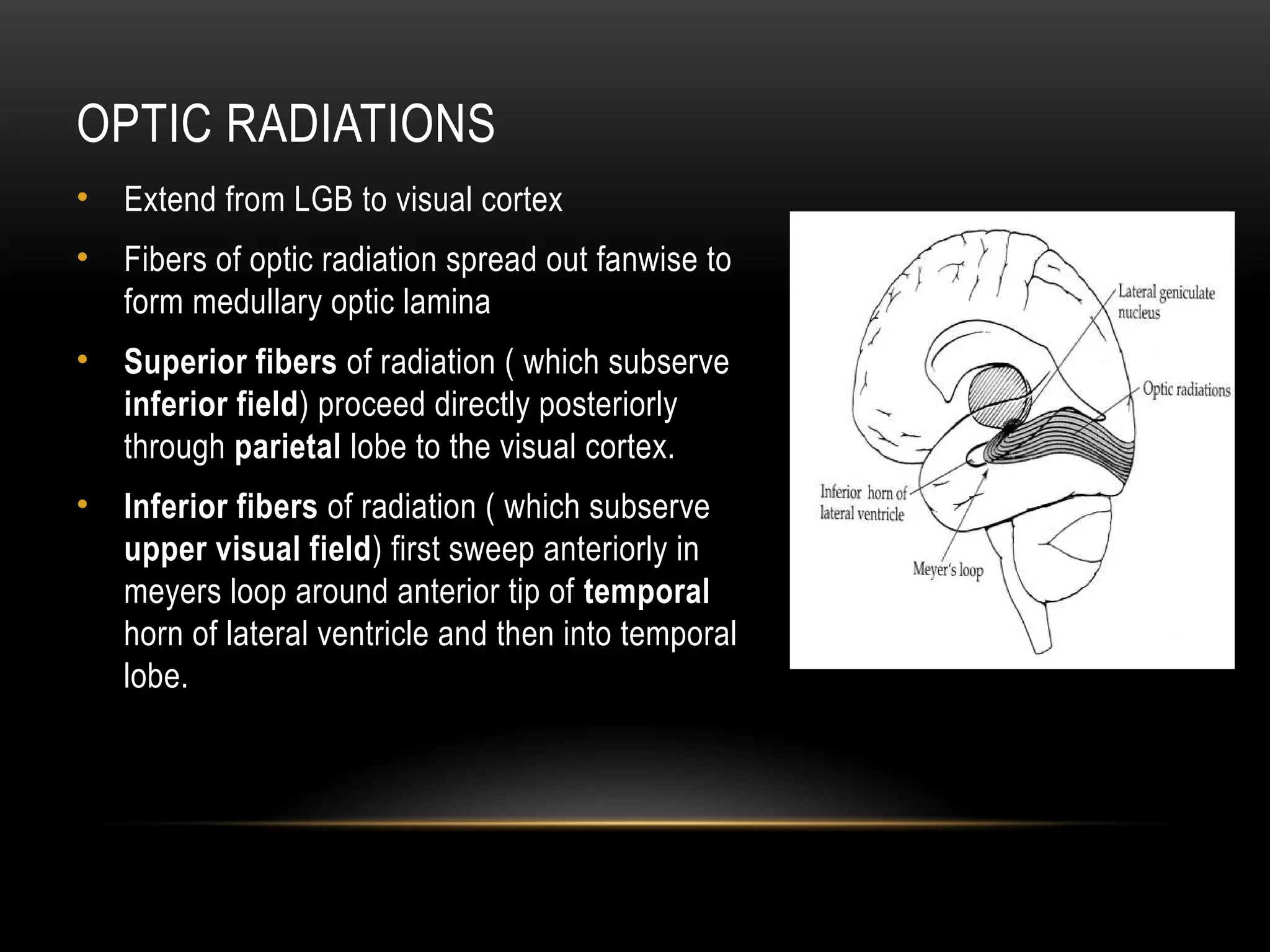 Anatomy of Retina and Visual pathway.pptx
