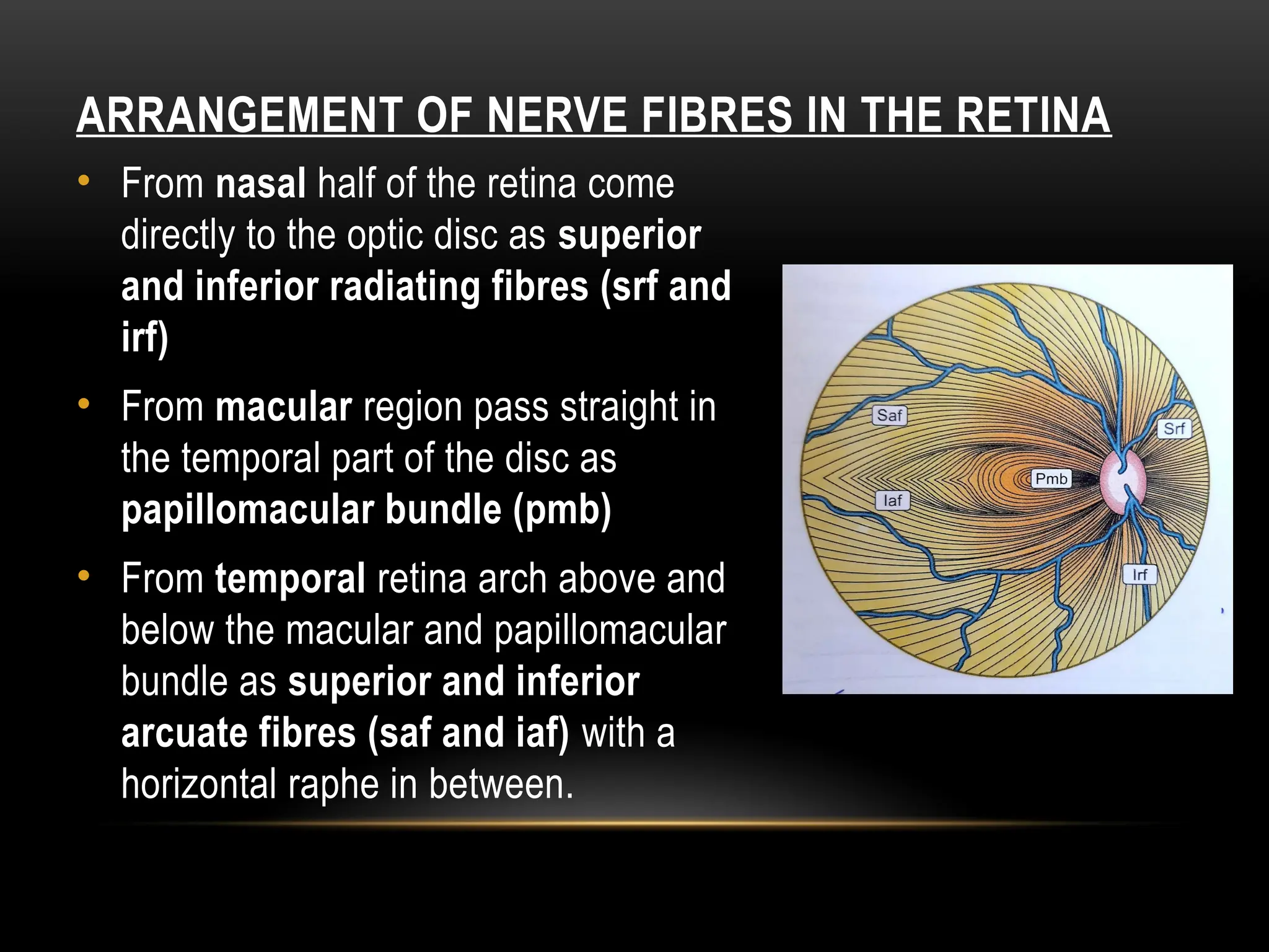 Anatomy of Retina and Visual pathway.pptx