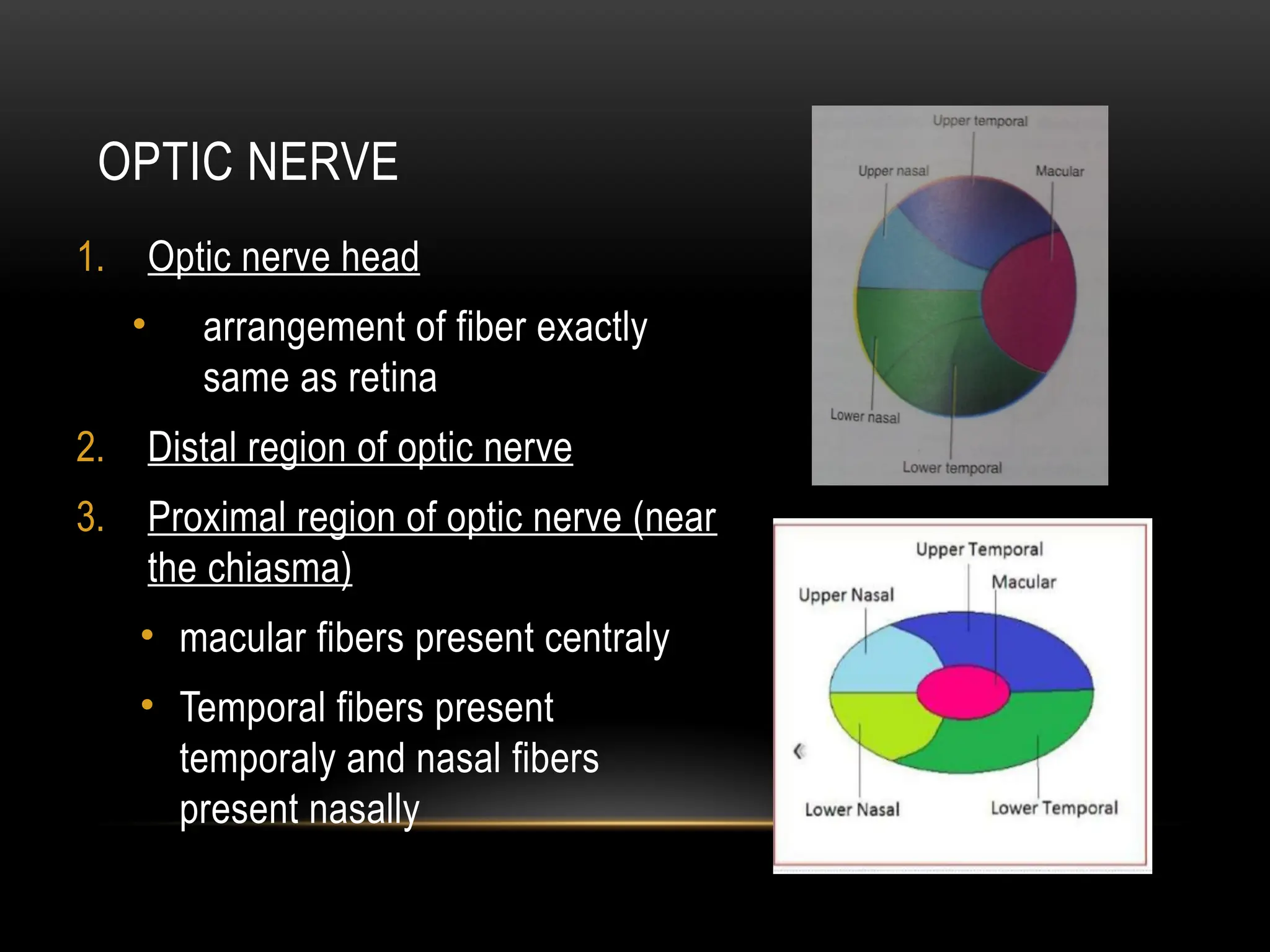 Anatomy of Retina and Visual pathway.pptx