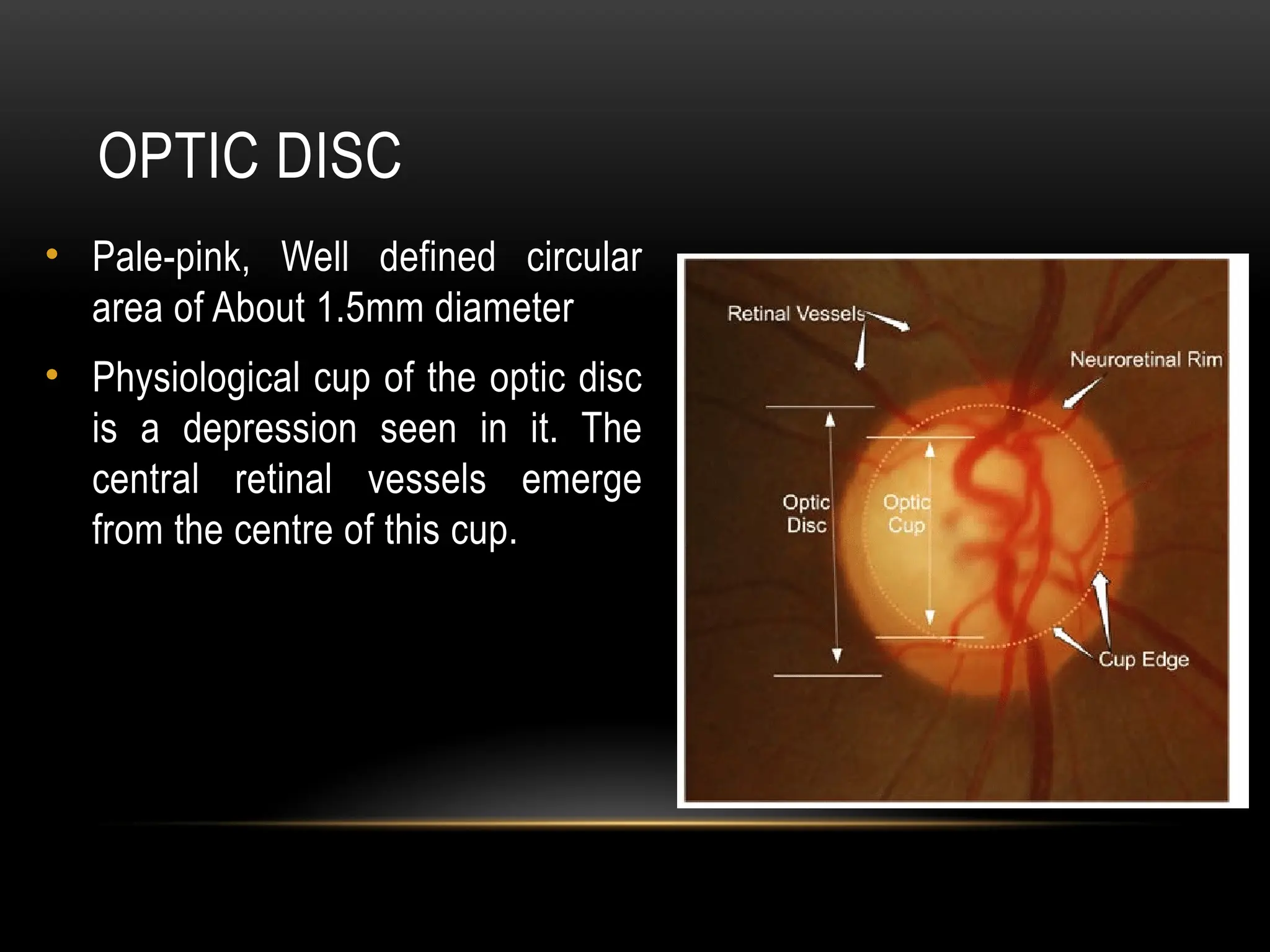 Anatomy of Retina and Visual pathway.pptx