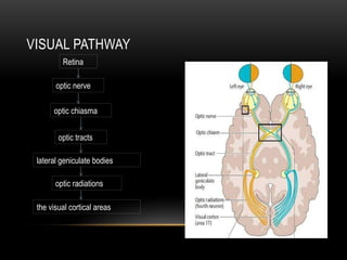 Anatomy of Retina and Visual pathway.pptx