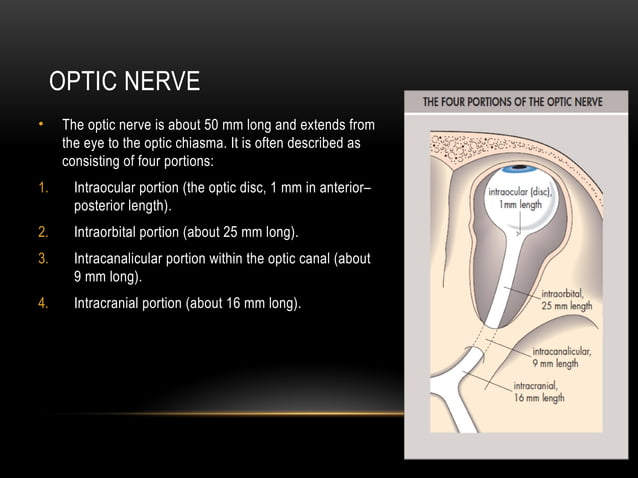 Anatomy of Retina and Visual pathway.pptx