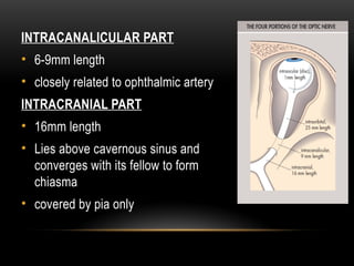Anatomy of Retina and Visual pathway.pptx