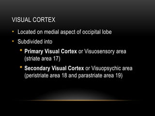 Anatomy of Retina and Visual pathway.pptx