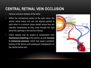Anatomy of Retina and Visual pathway.pptx
