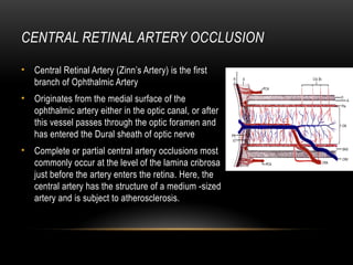 Anatomy of Retina and Visual pathway.pptx