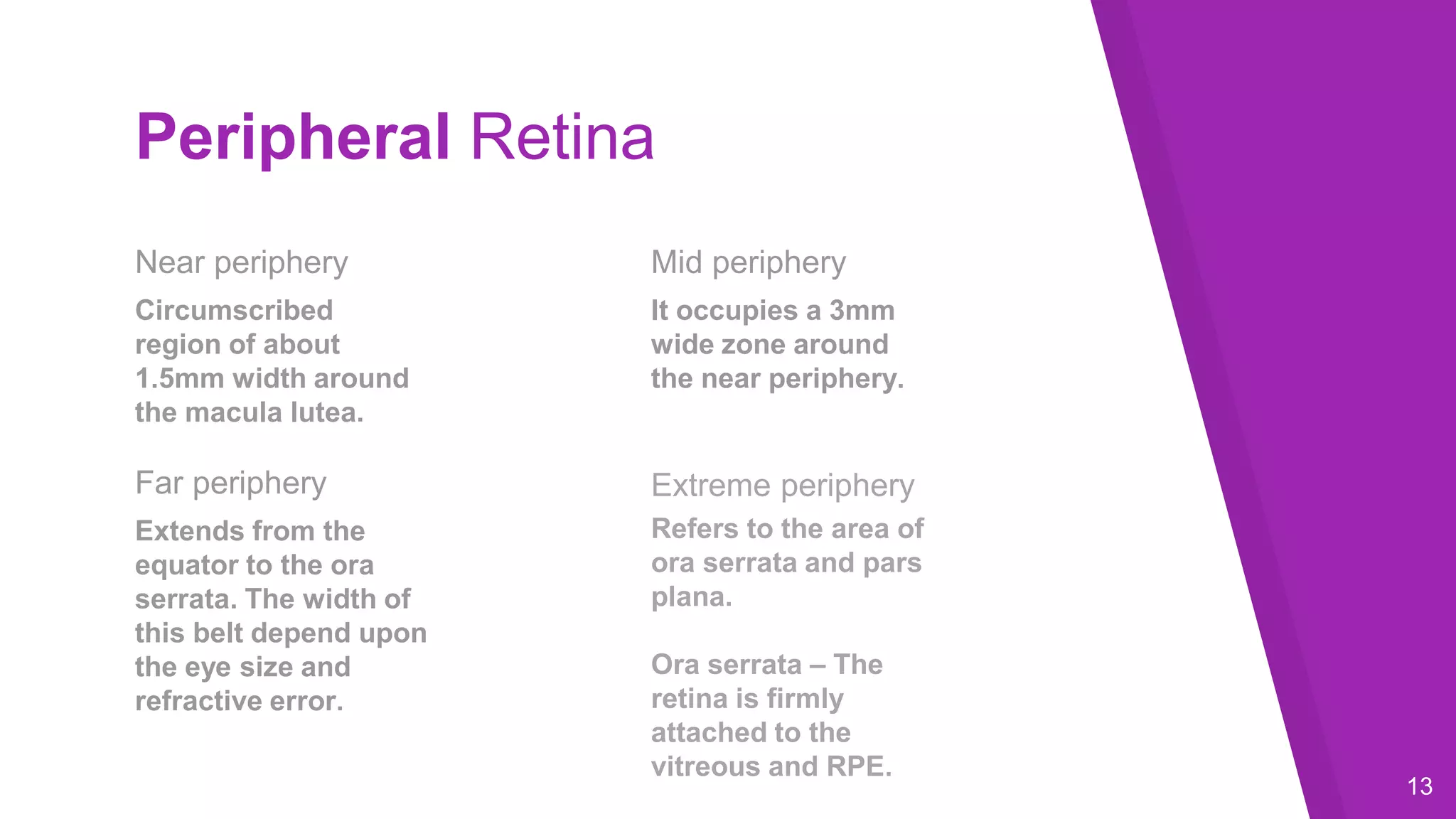 Anatomy of Retina by Robin Singh ( BMCO ) | PPTX