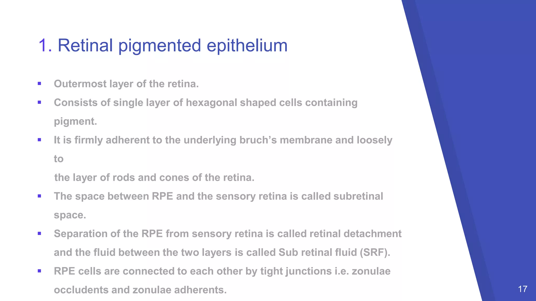 Anatomy of Retina by Robin Singh ( BMCO ) | PPTX