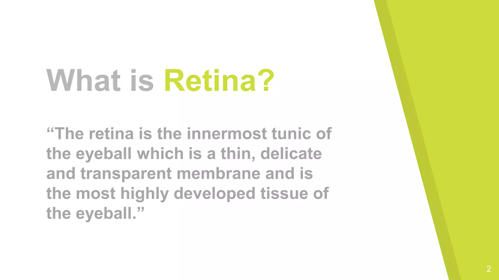 Anatomy of Retina by Robin Singh ( BMCO ) | PPTX