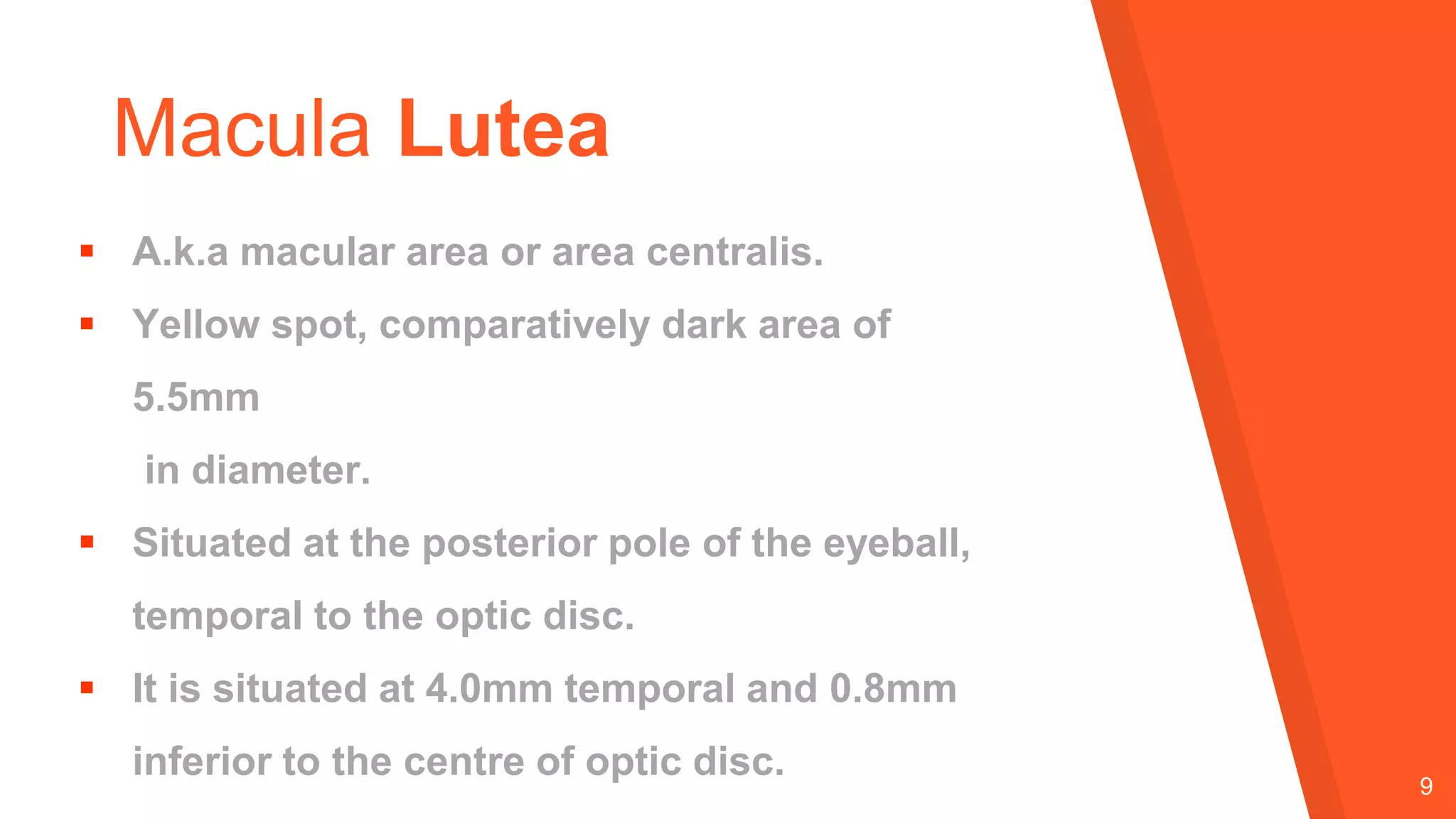 Anatomy of Retina by Robin Singh ( BMCO ) | PPTX