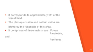 Anatomy of Retina by Robin Singh ( BMCO ) | PPT