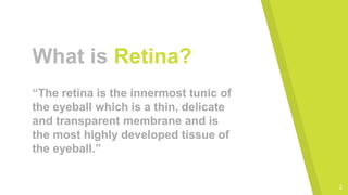 Anatomy of Retina by Robin Singh ( BMCO ) | PPTX