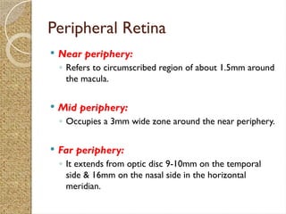 structural and functional Anatomy of retina.pptx