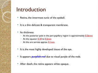 structural and functional Anatomy of retina.pptx