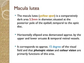 structural and functional Anatomy of retina.pptx
