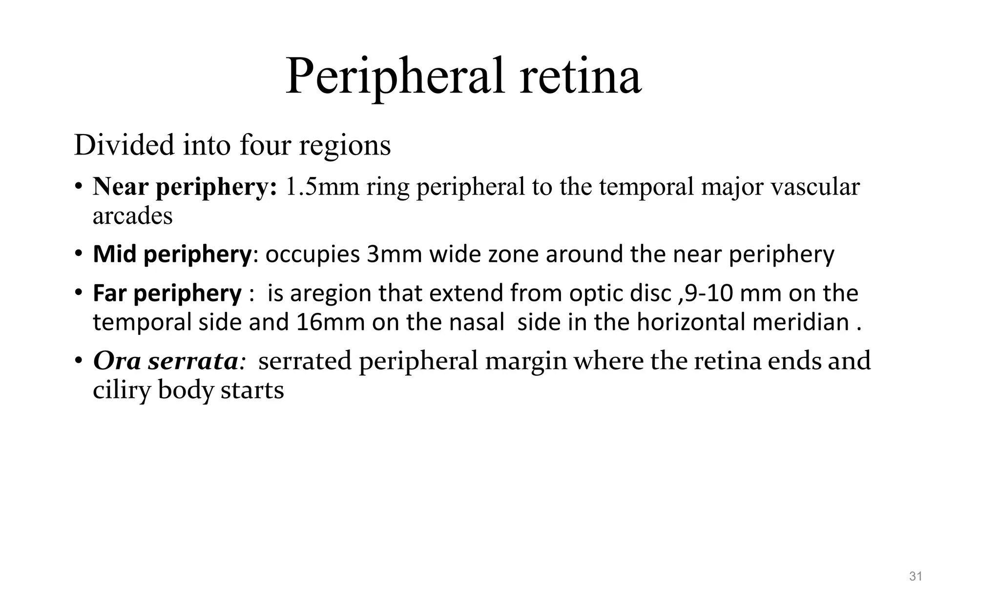 Anatomy of retina power points. I1.ppt
