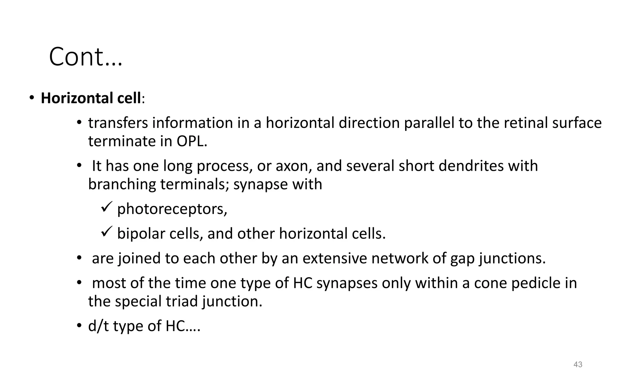 Anatomy of retina power points. I1.ppt