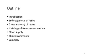 Anatomy of retina power points. I1.ppt