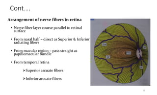 Anatomy of retina power points. I1.ppt