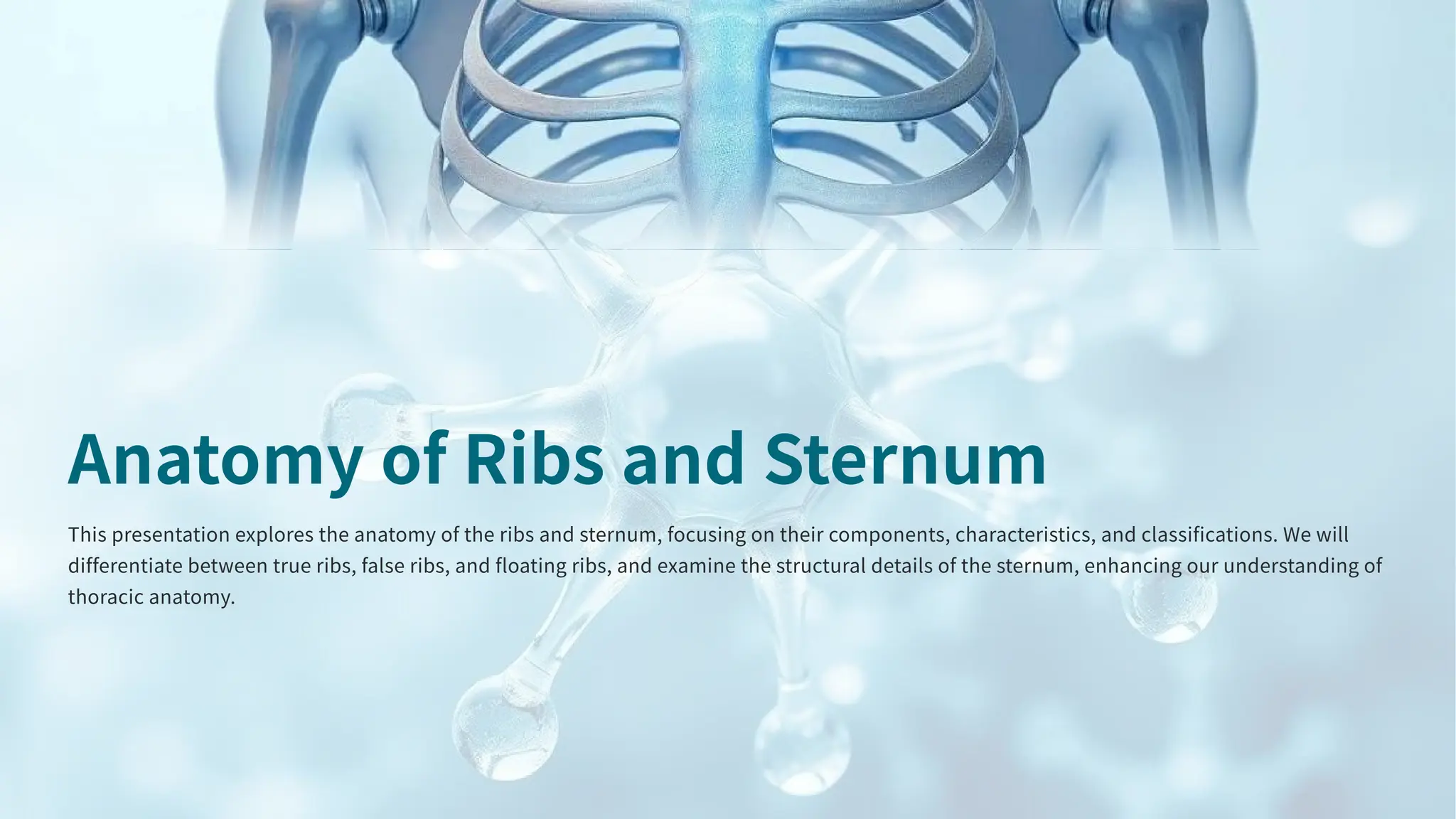Anatomy of Ribs and Sternum explain briefly with structure.pdf