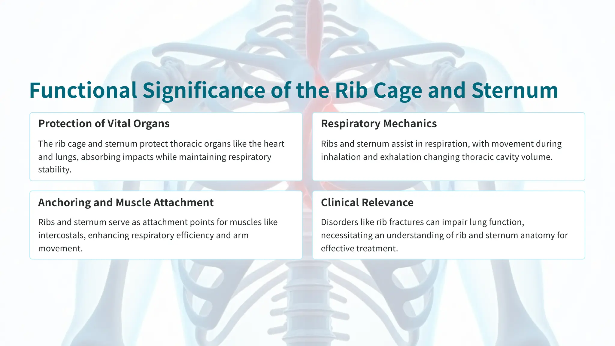 Anatomy of Ribs and Sternum explain briefly with structure.pdf