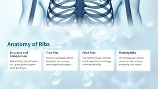 Anatomy of Ribs and Sternum explain briefly with structure.pdf