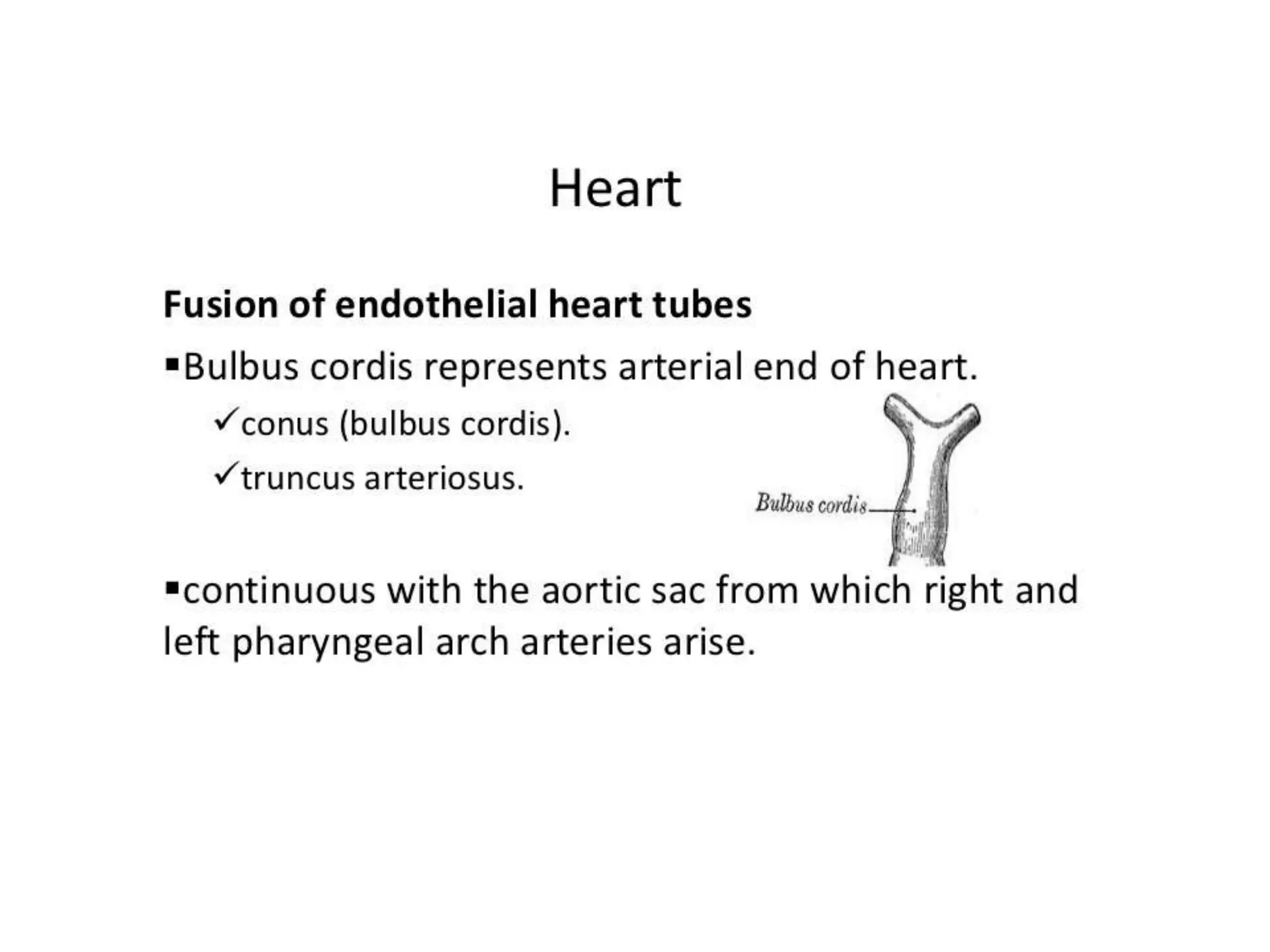 Anatomy of right atrium | PPTX