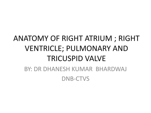 Anatomy of right atrium | PPTX | Heart and Cardiovascular Diseases ...
