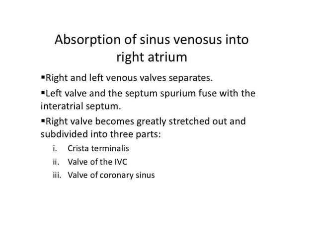 Anatomy of right atrium | PPTX | Heart and Cardiovascular Diseases ...