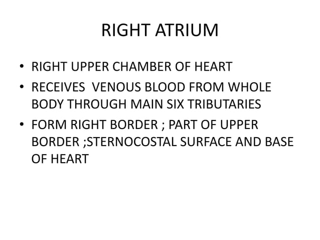 Anatomy of right atrium | PPTX | Heart and Cardiovascular Diseases ...